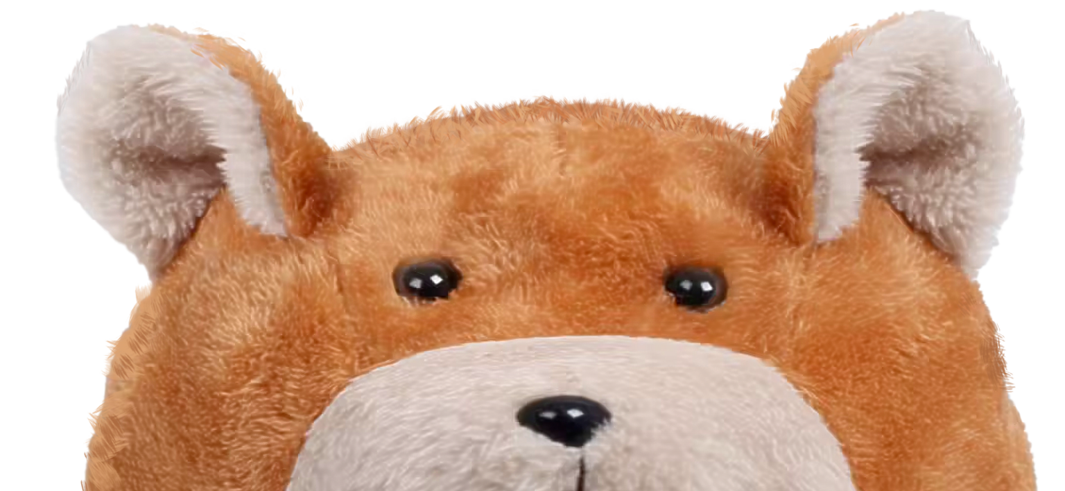 Guster's Official Website